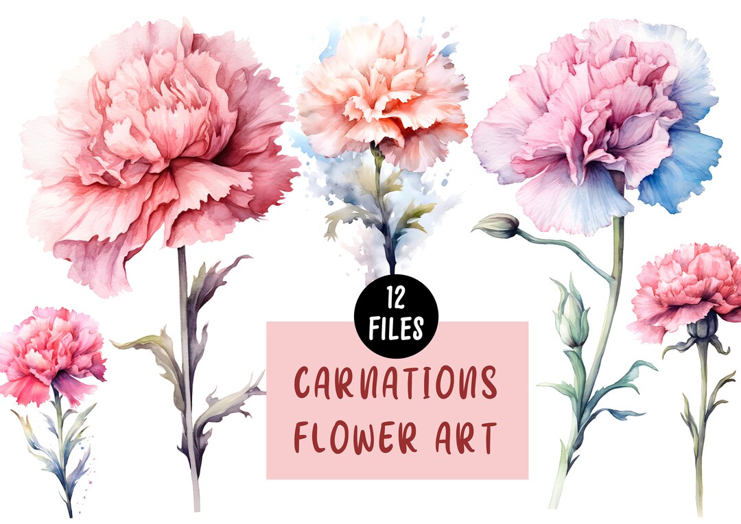 Carnations Illustration Bundle, Watercolor Printable Art, Set of 12 ...