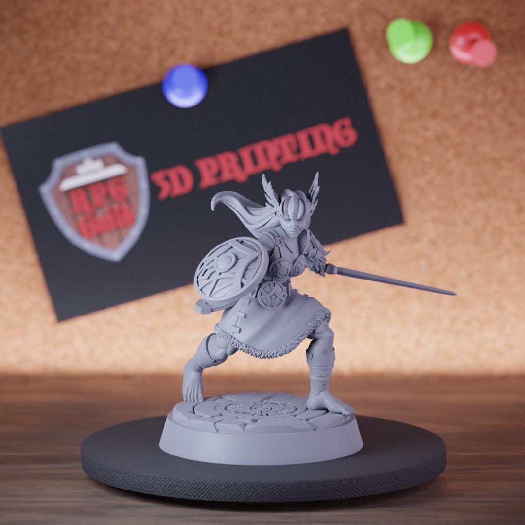 Shield Valkyrie Miniature Sword Master Mini Dungeons and Dragons RPG ...