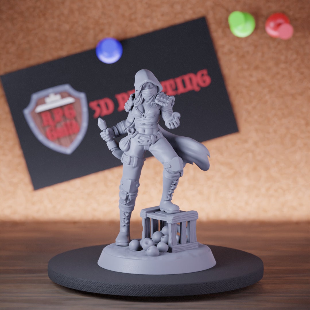 Female Assassin Miniature Tax Collector Mini Dungeons and Dragons Mini ...