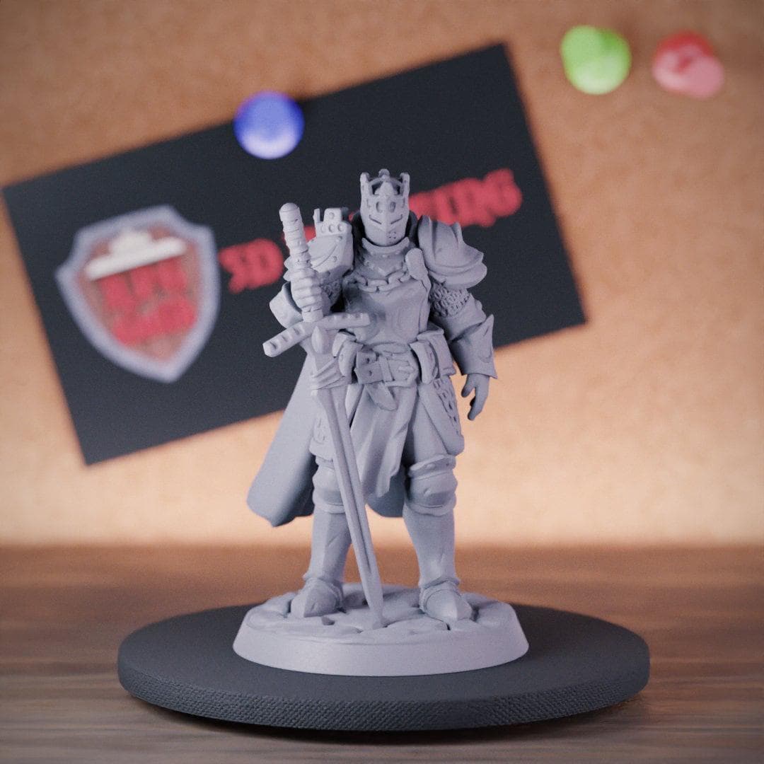 King Human Dnd Miniature Prince Dungeons and Dragons Mini RPG Tabletop ...