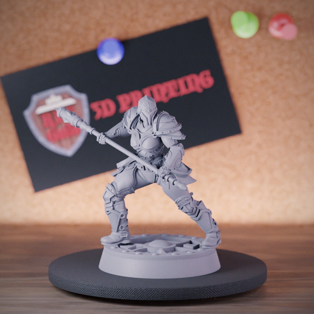 Female Paladin Miniature Defender Mini Dungeons and Dragons Mini RPG ...