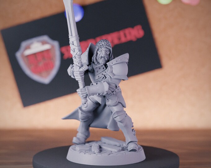 Tarick Human Fighter Bloodhunter DMS | Miniature Dungeons and Dragons ...