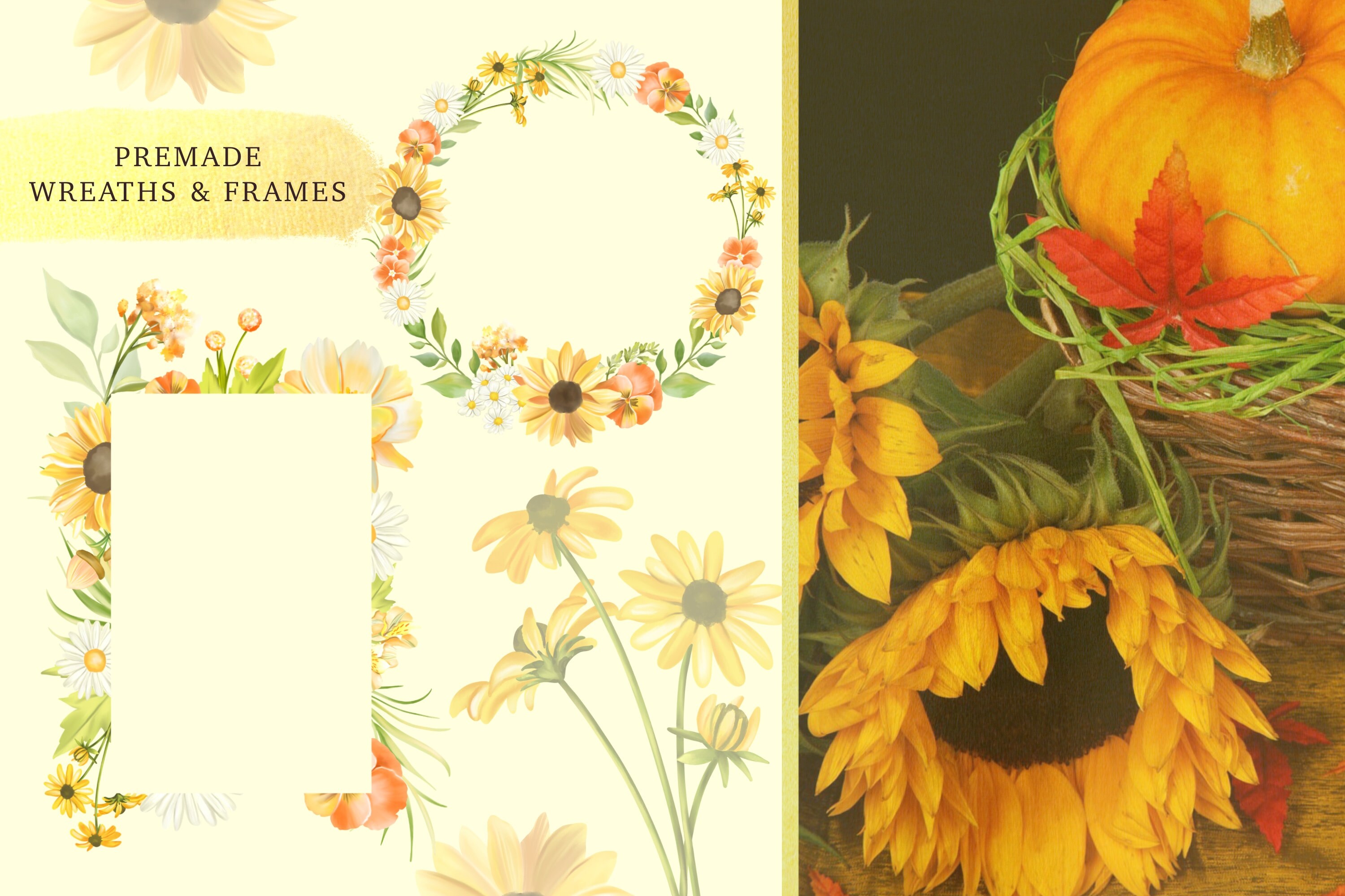 Sunflower Daisy Clipart Daisy Clipart Summer Sunflower Clipart Summer ...