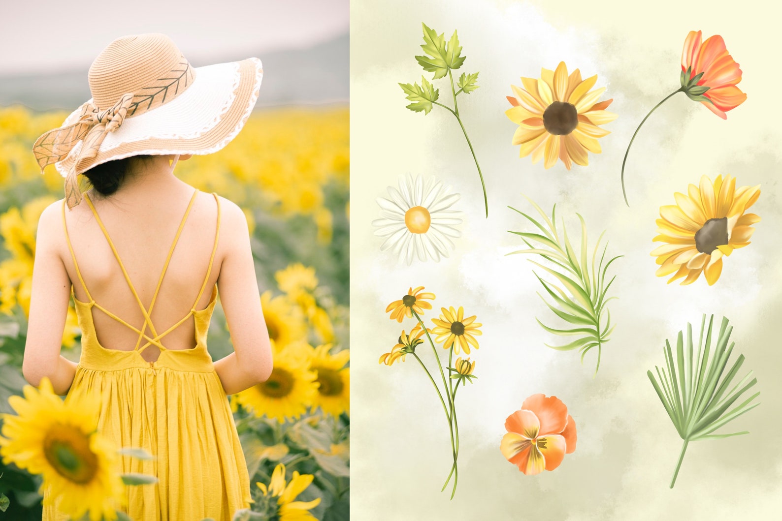 Sunflower Daisy Clipart Daisy Clipart Summer Sunflower Clipart Summer ...