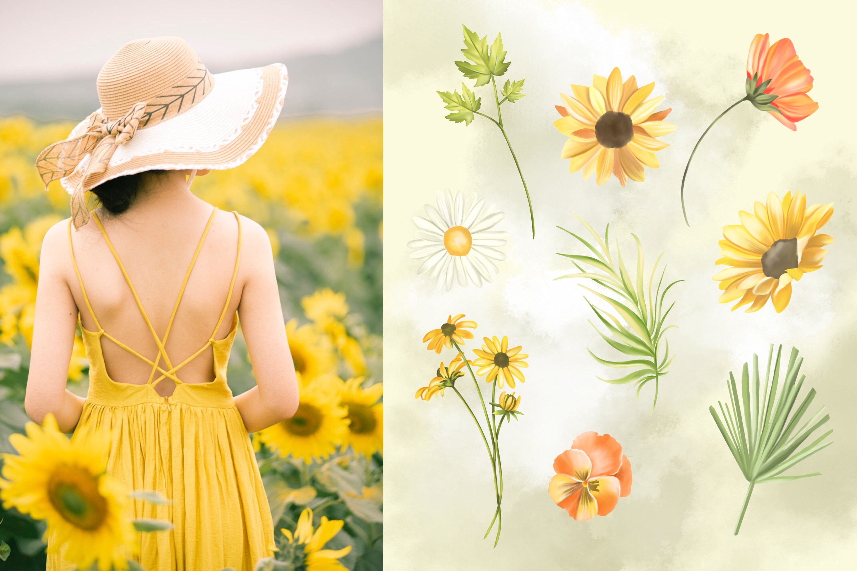 Sunflower Daisy Clipart Daisy Clipart Summer Sunflower Clipart Summer ...