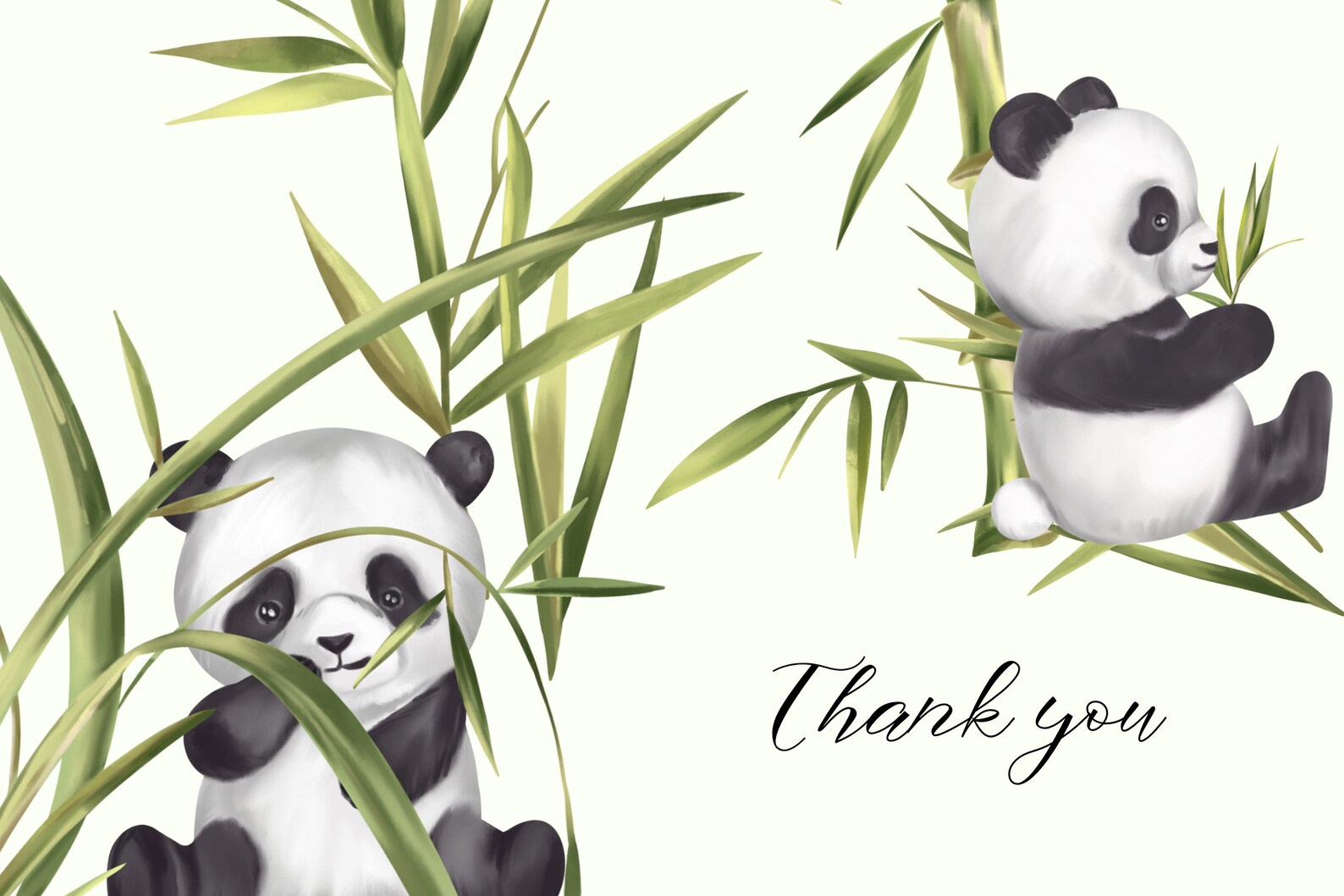 Bamboo Panda Clipart Chinese Panda Digital Download Cute Panda PNG ...