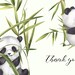 Bamboo Panda Clipart Chinese Panda Digital Download Cute Panda PNG ...