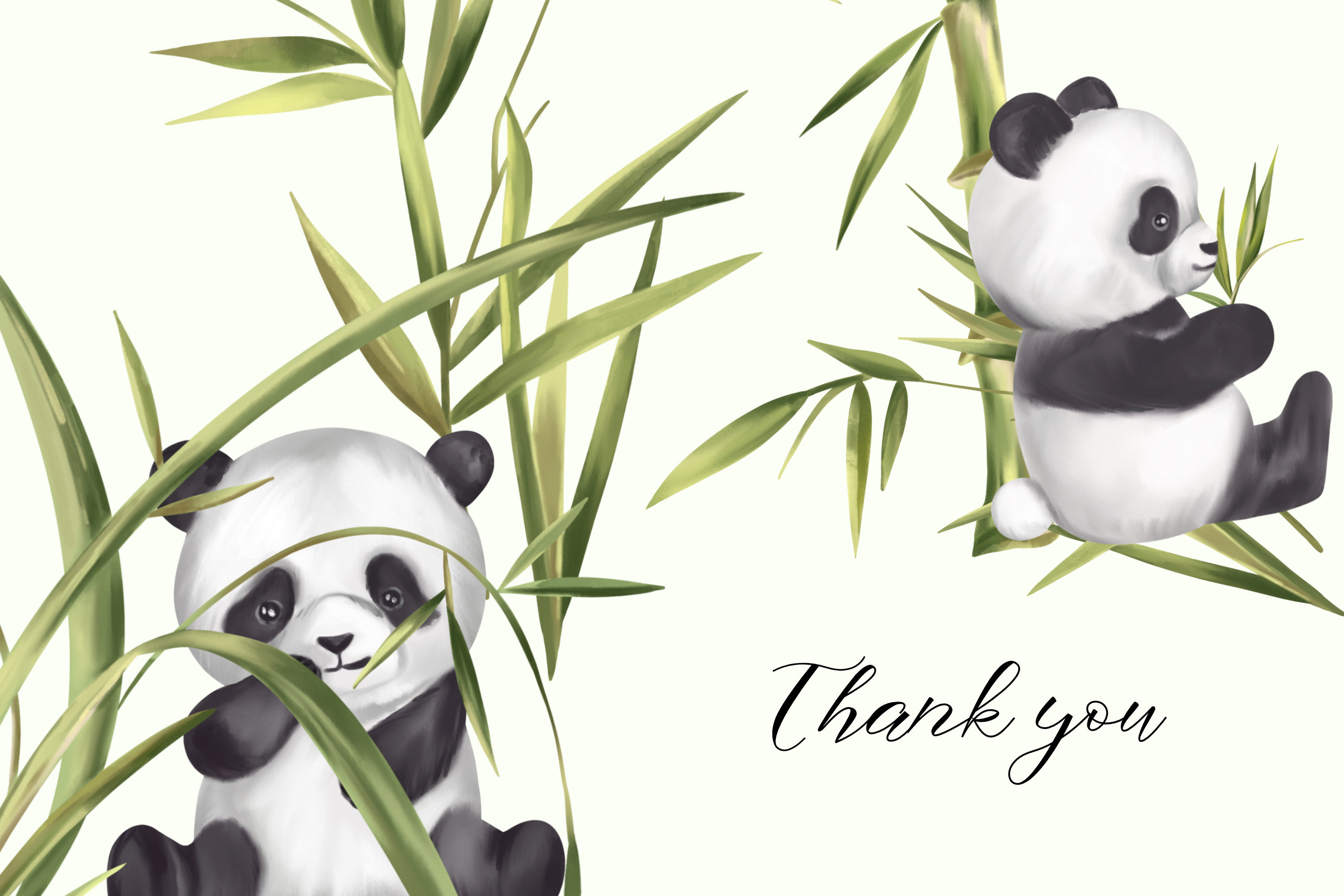 Bamboo Panda Clipart Chinese Panda Digital Download Cute Panda PNG ...
