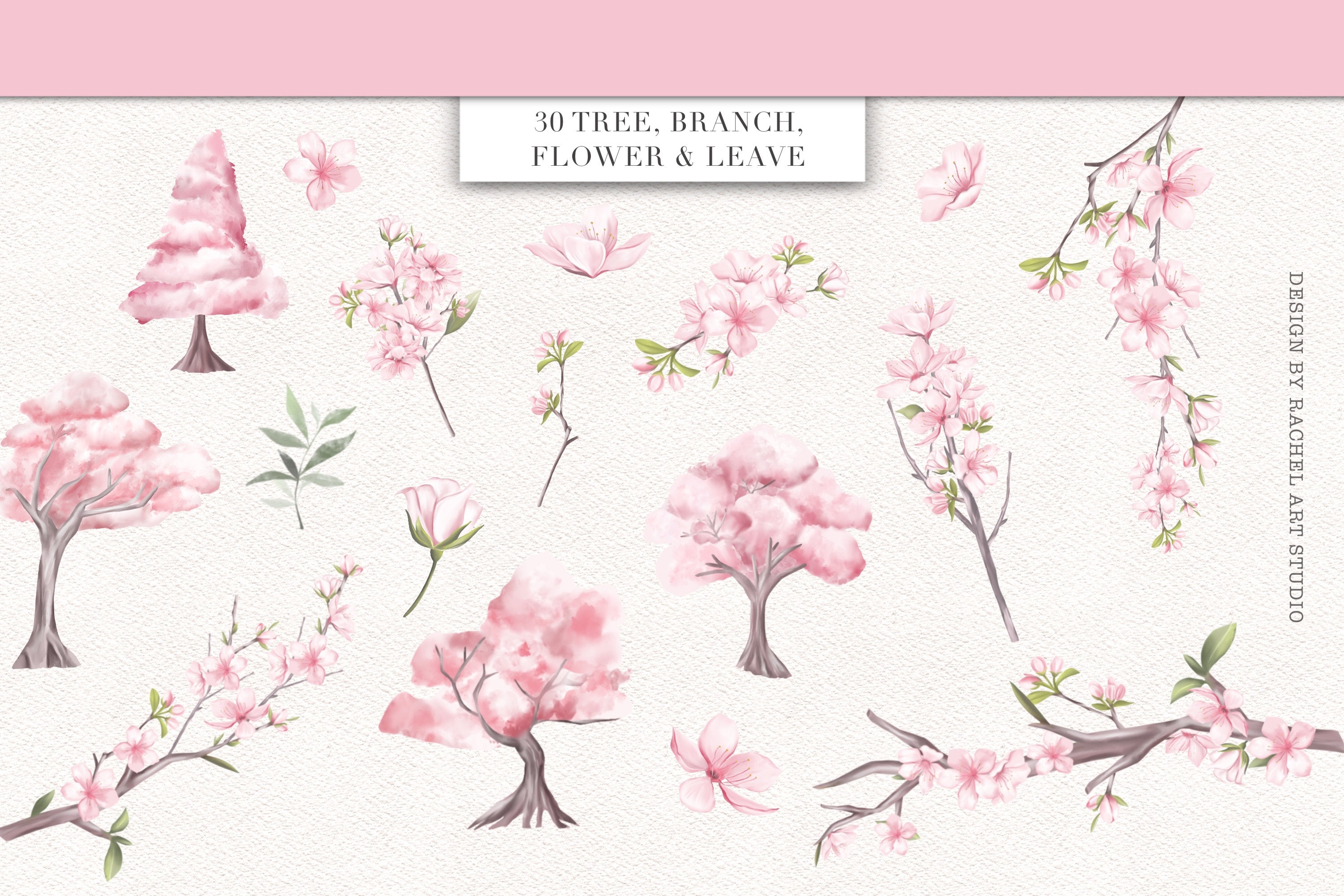 Watercolor Cherry Blossom Clipart Sakura Flower Clipart Cherry Blossom ...