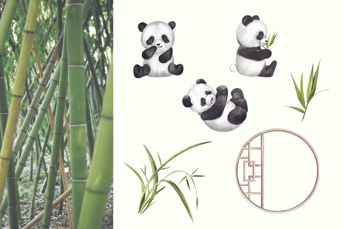 Bamboo Panda Clipart Chinese Panda Digital Download Cute Panda PNG ...