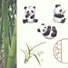 Bamboo Panda Clipart Chinese Panda Digital Download Cute Panda PNG ...