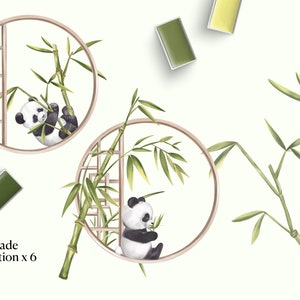 Bamboo Panda Clipart Chinese Panda Digital Download Cute Panda PNG ...