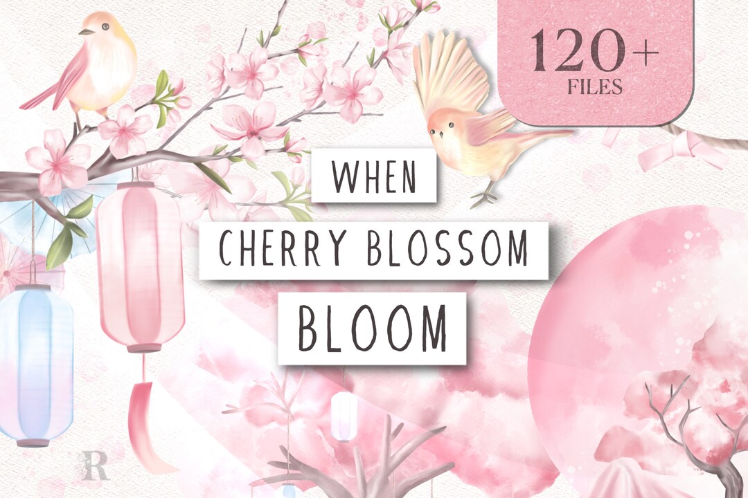 Watercolor Cherry Blossom Clipart Sakura Flower Clipart Cherry Blossom ...