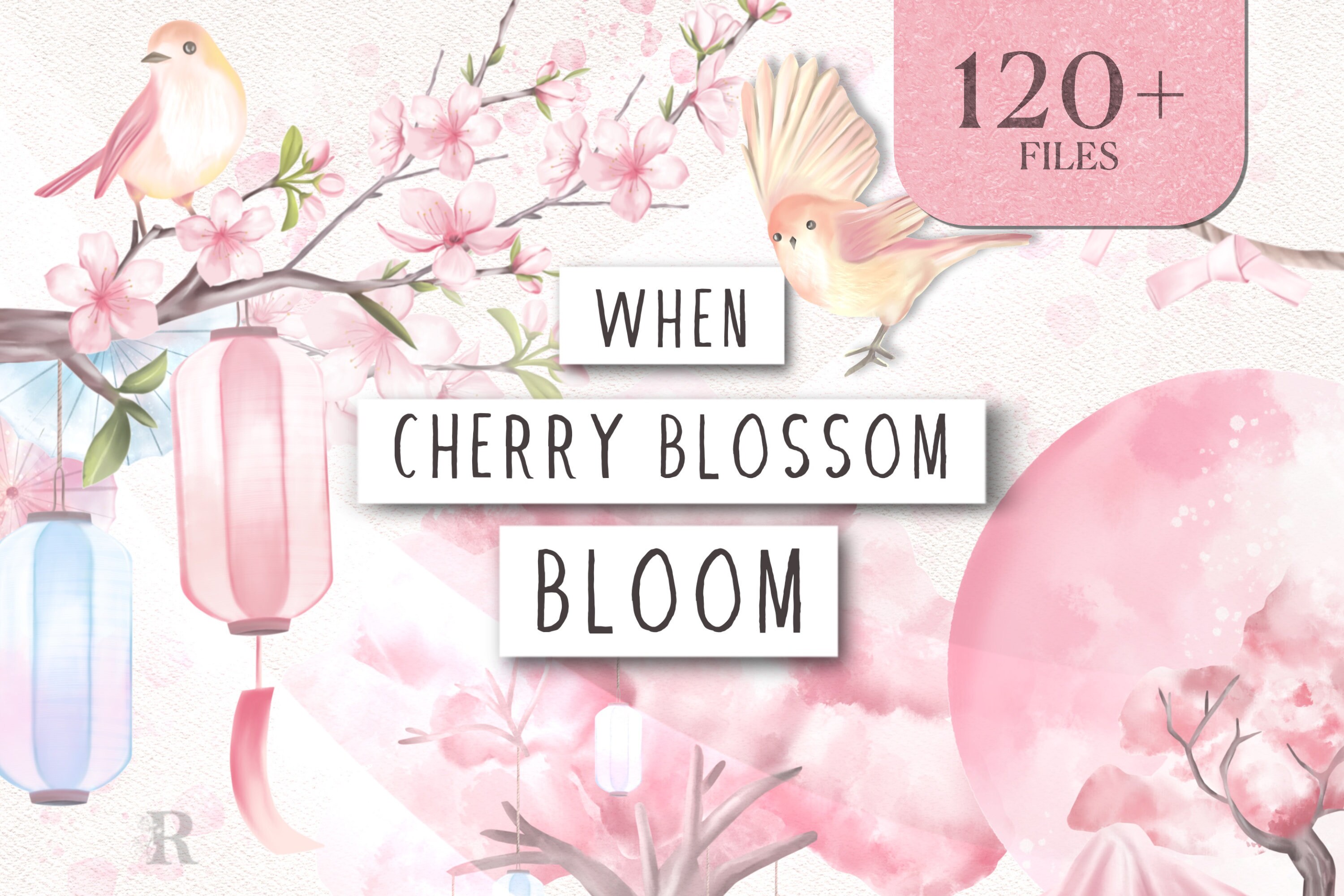 Watercolor Cherry Blossom Clipart Sakura Flower Clipart Cherry Blossom ...