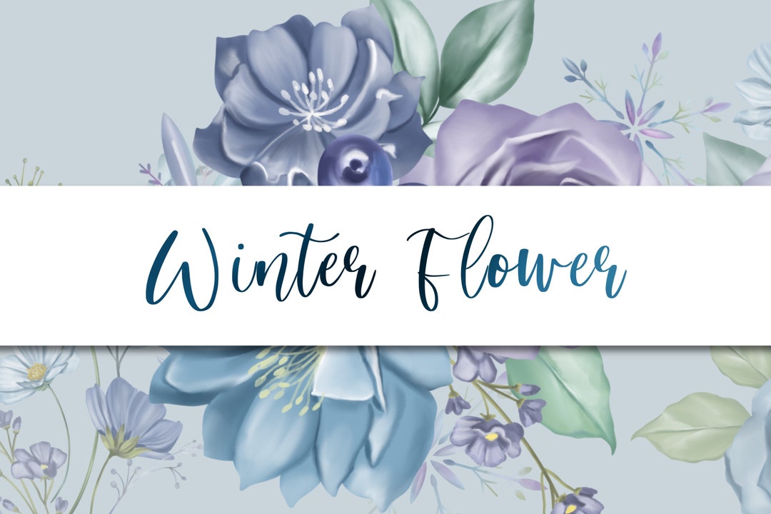Winter Flower Clipart Winter Floral PNG Snow Clipart Snowflake PNG ...