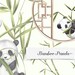 Bamboo Panda Clipart Chinese Panda Digital Download Cute Panda PNG ...