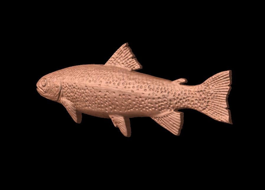 Rainbow Trout CNC 3D Relief Model STL for CNC Router or 3-axis Engraver ...