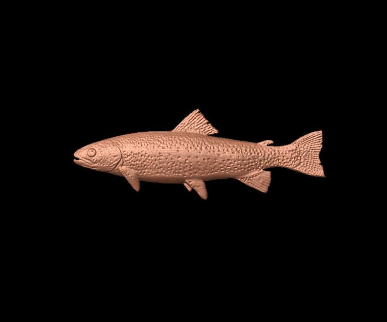 Rainbow Trout CNC 3D Relief Model STL for CNC Router or 3-axis Engraver ...