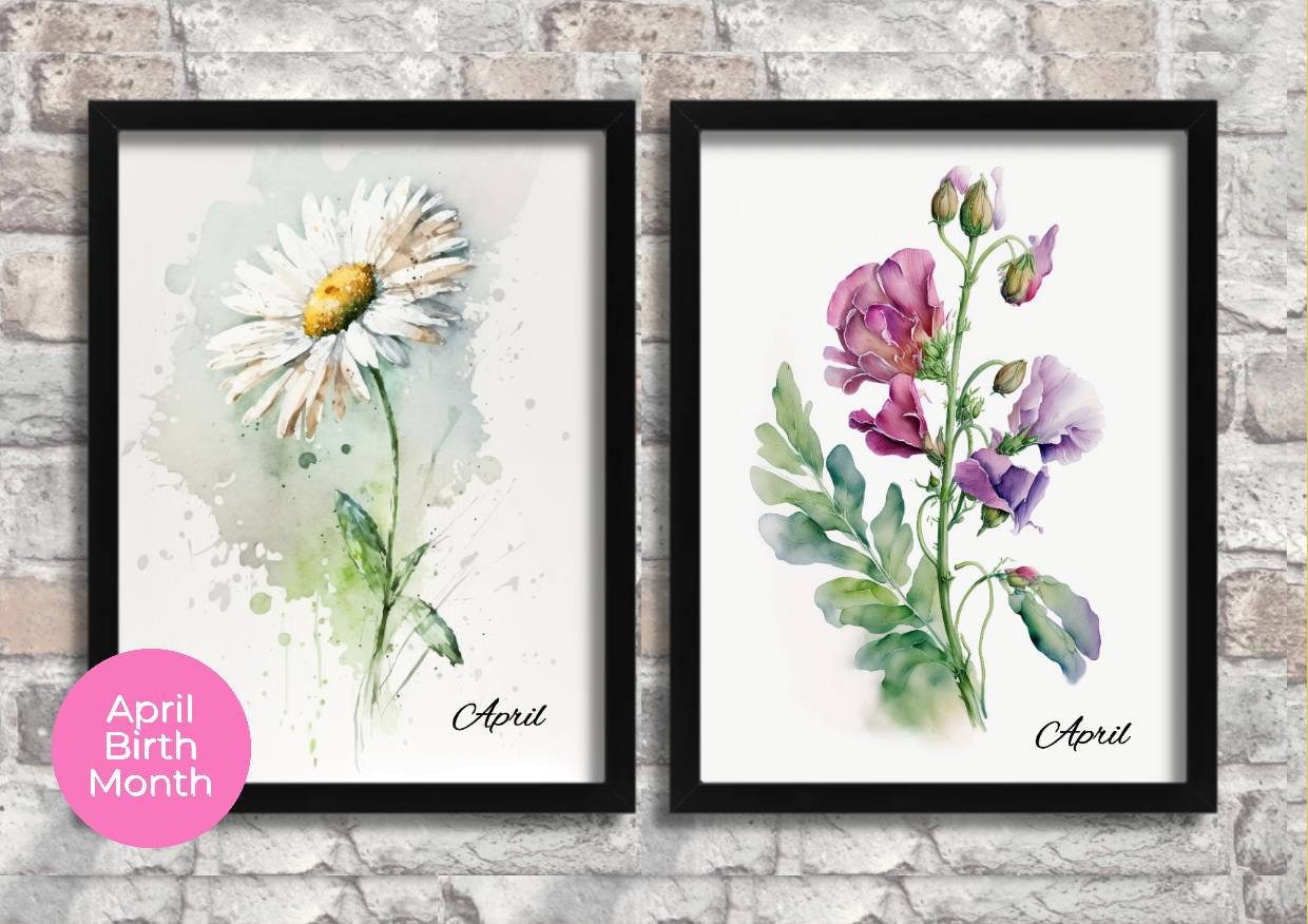 April Birth Month Flower Art Watercolour Daisy Flower - Etsy