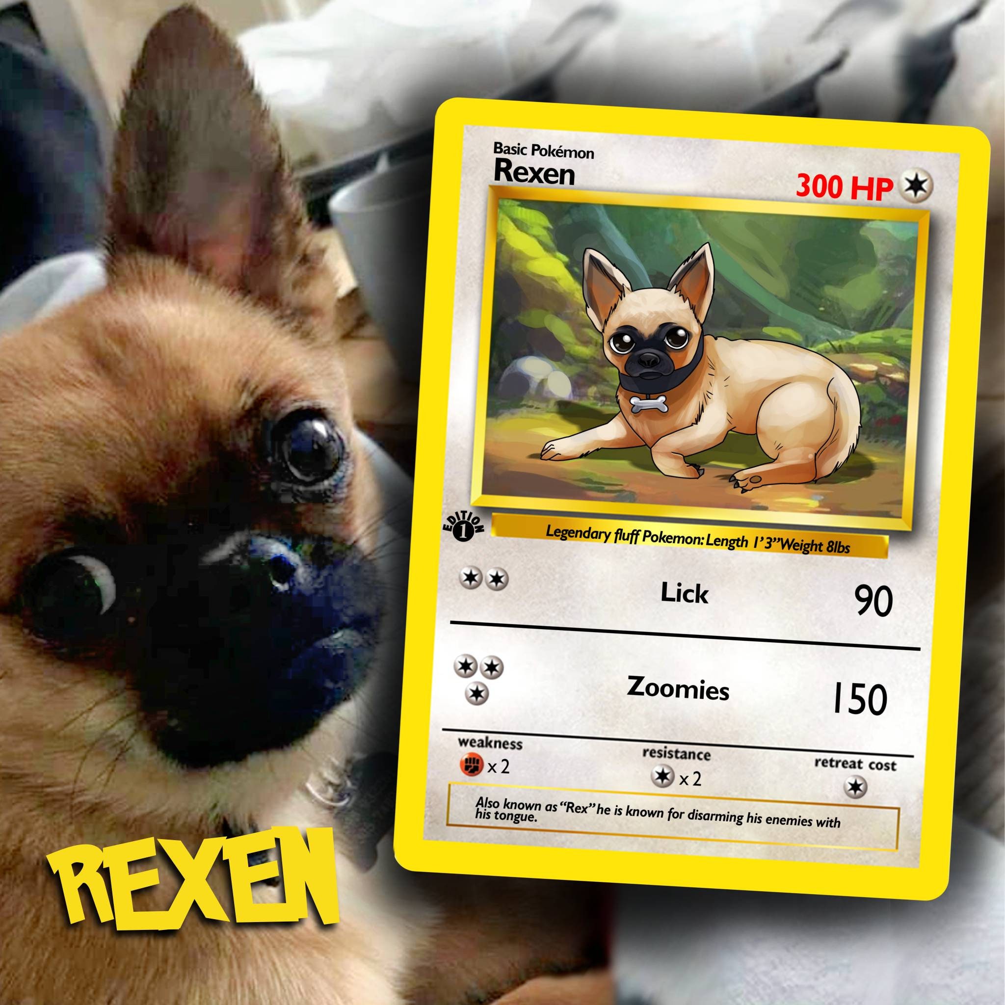 Custom Pet Pokémon Card Pokémon Character Proxy Pokemon - Etsy