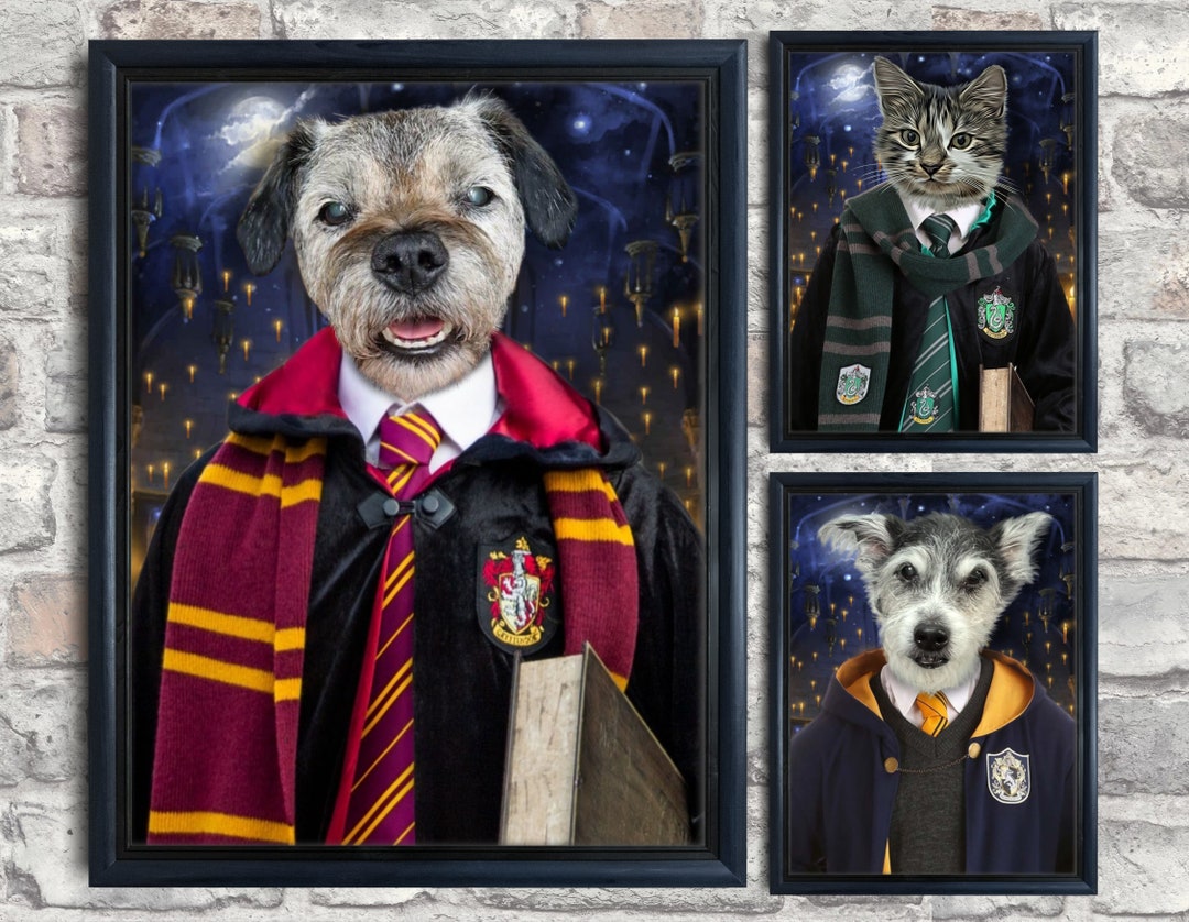 The Wizard Pet Portrait, Custom Dog Portrait From Photos, Wizard Cat ...