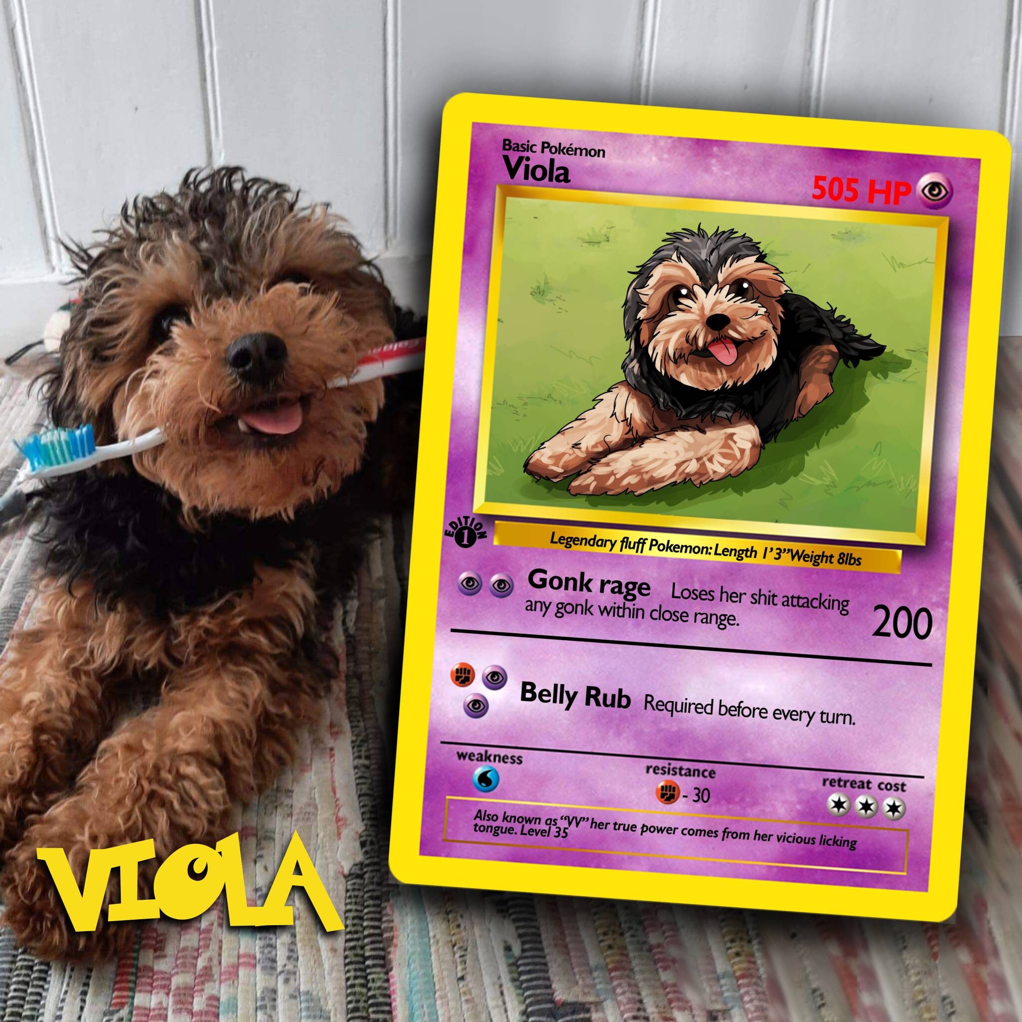 Custom Pet Pokémon Card Pokémon Character Proxy Pokemon - Etsy