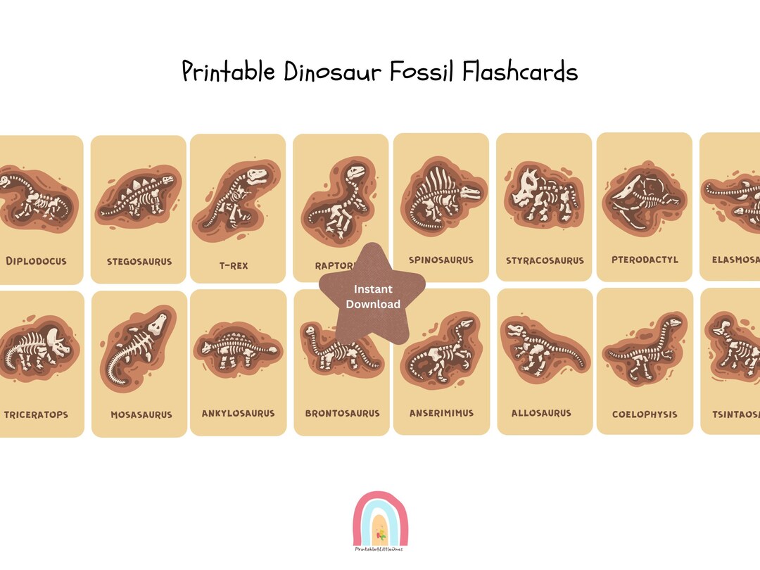 Dinosaur Flashcards ,dinosaur Fossil Flashcards ,montessori Cards ...