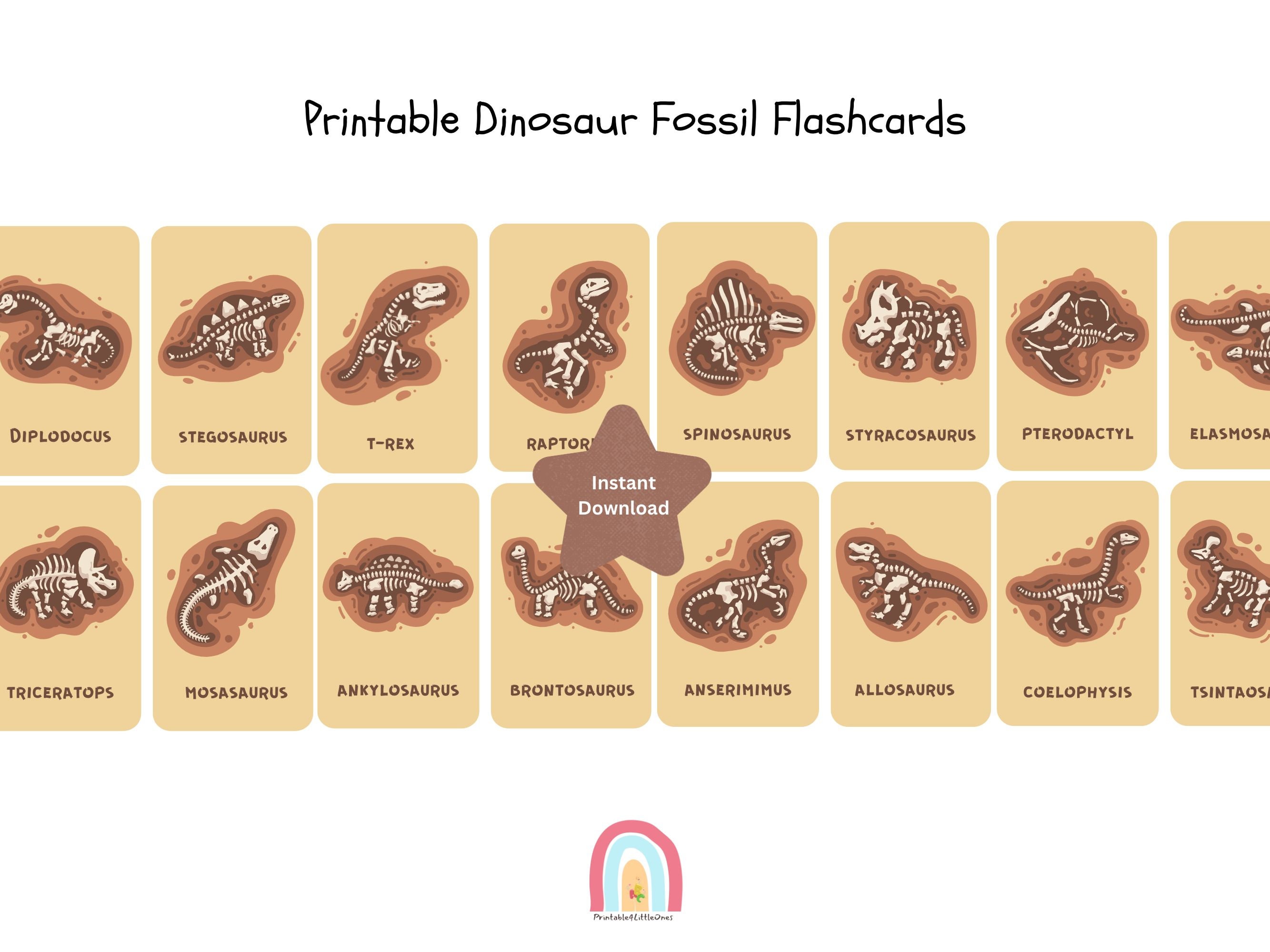Dinosaur Flashcards ,dinosaur Fossil Flashcards ,montessori Cards ...