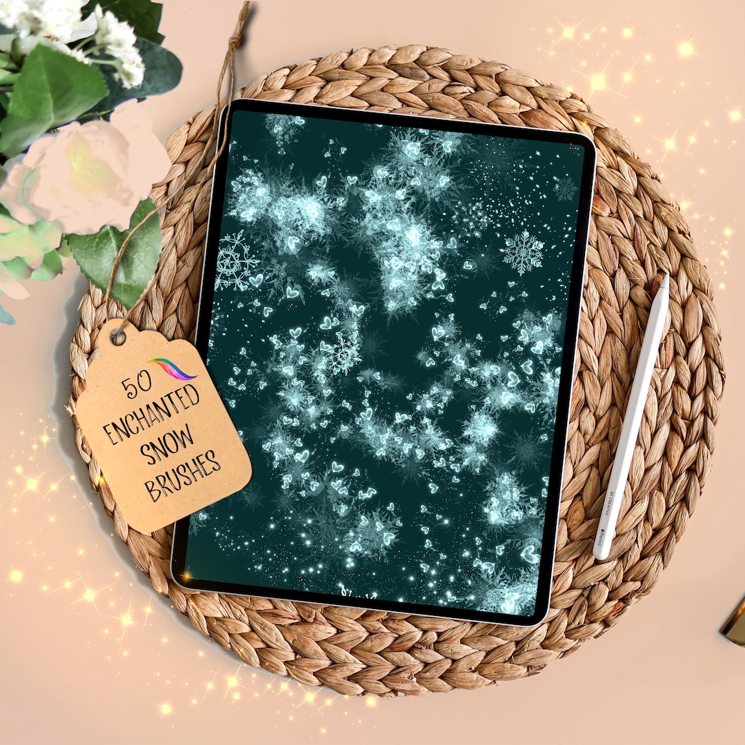 50 ENCHANTED SNOW Brushes Procreate Dual Brushes | Procreate Winter ...