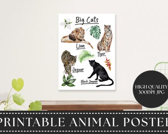 Big Cats Chart - Etsy