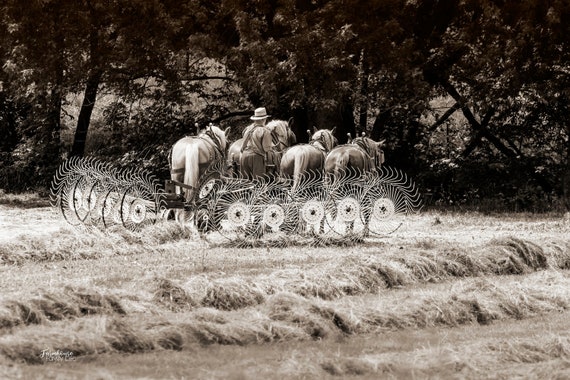Amish Farming Farm Life Farmhouse Decor Country - Etsy