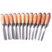 12pcs Wood Carving Chisel Set for Woodworking, Professional Wood Gouge ...