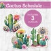 Cactus Daily Schedule Board Classroom Display - Etsy