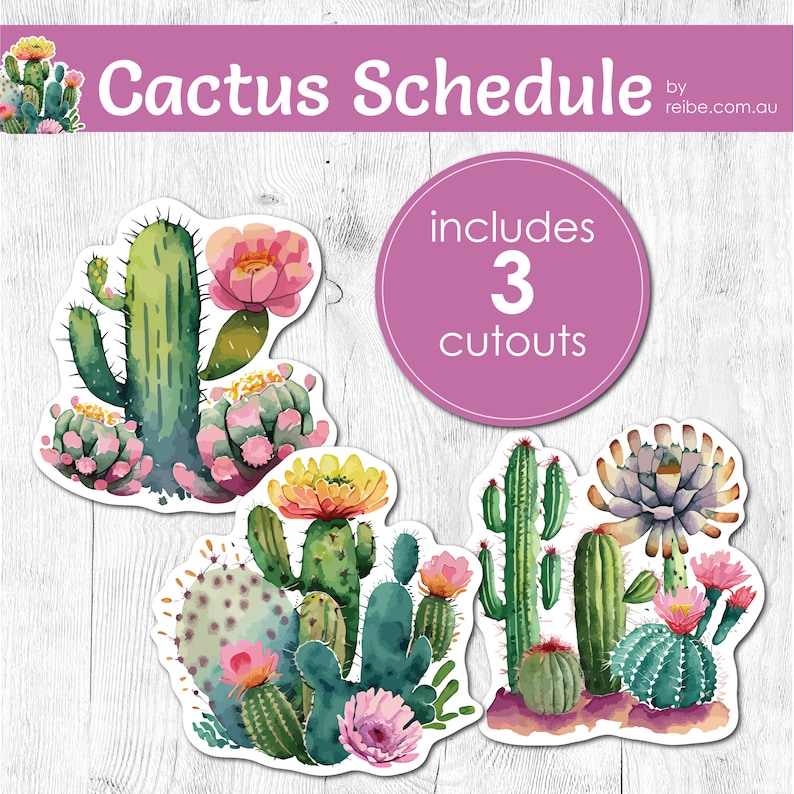 Cactus Daily Schedule Board Classroom Display - Etsy