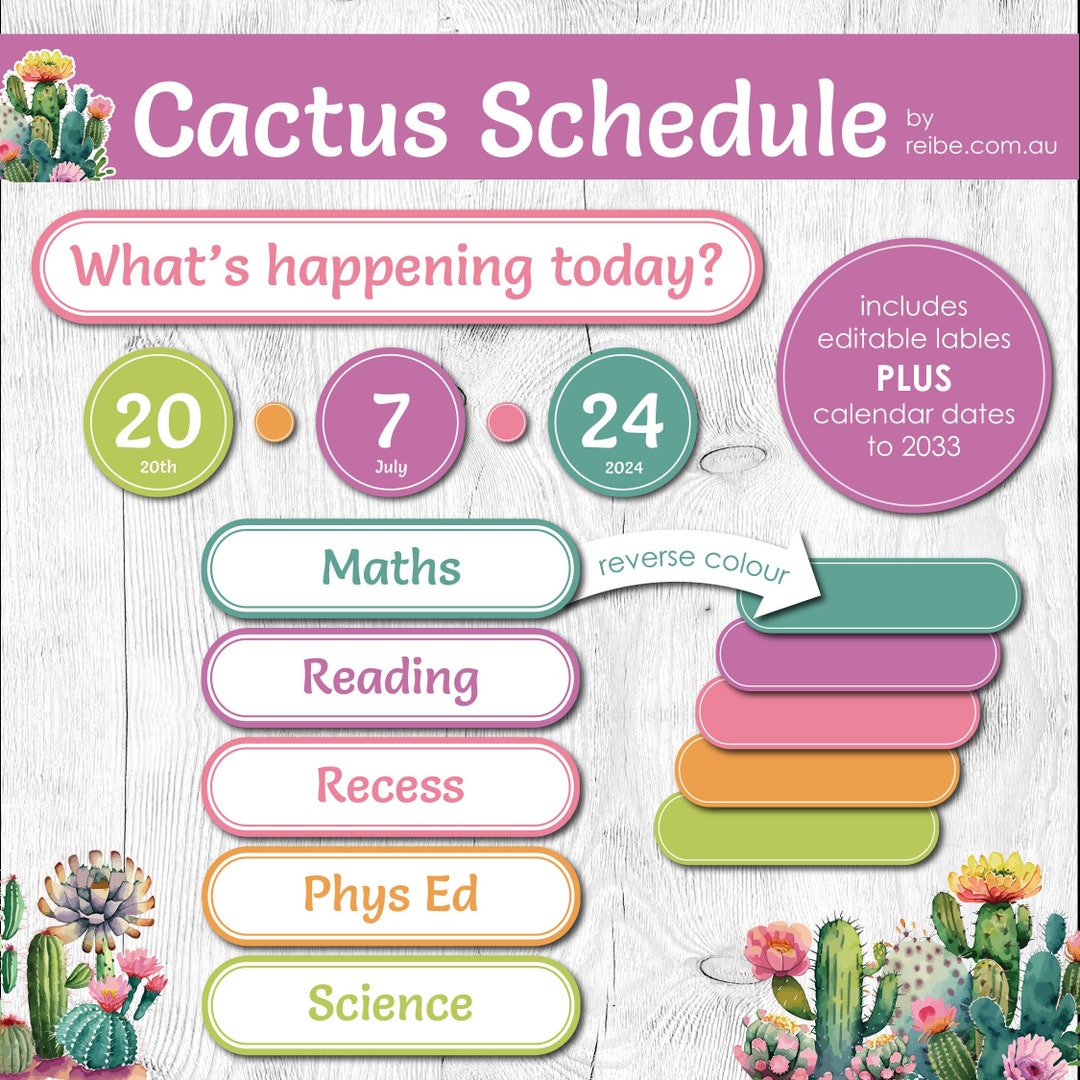 Cactus Daily Schedule Board Classroom Display - Etsy