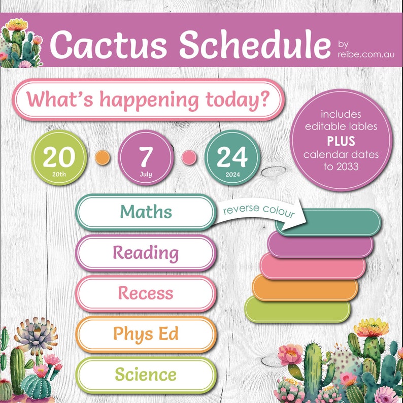 Cactus Daily Schedule Board Classroom Display - Etsy