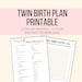 Twin Birth Plan Printable, Twins Birth Checklist PDF, Twin Pregnancy ...