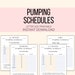 Pumping Schedules Printable, Daily Exclusive Pumping Mom Sample ...