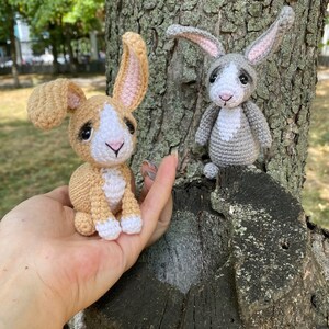PDF Rabbit Crochet Pattern, Crochet SET Animal Pattern, Crochet Bunny ...