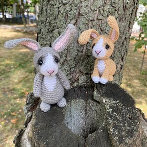 PDF Rabbit Crochet Pattern, Crochet SET Animal Pattern, Crochet Bunny ...