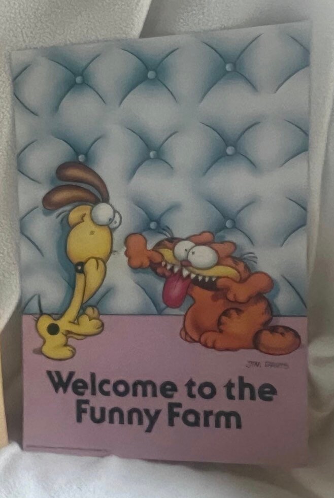 Garfield Posters and Framed Art CHOOSE ONE - Etsy