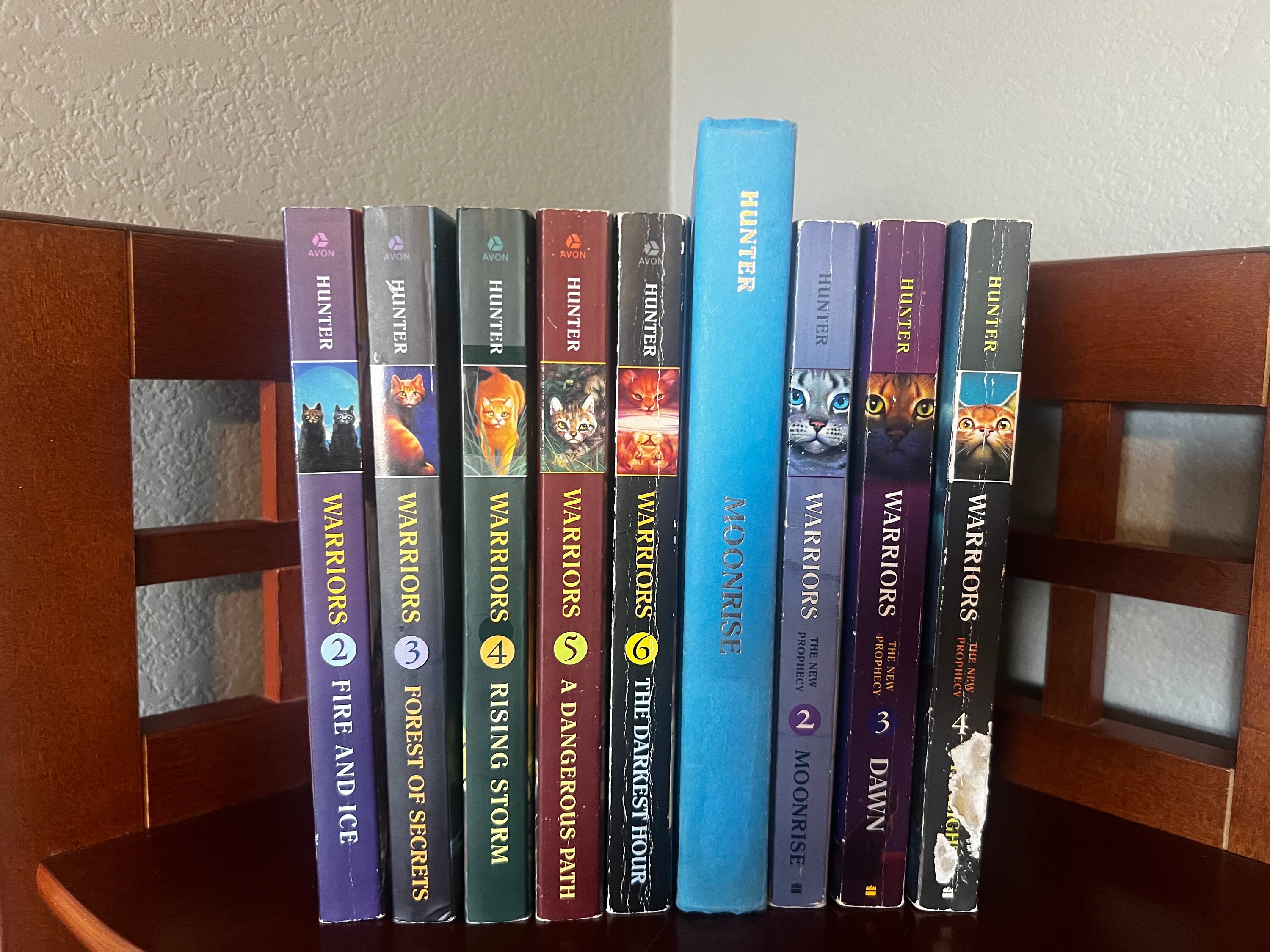 Warriors Books CHOOSE ONE - Etsy
