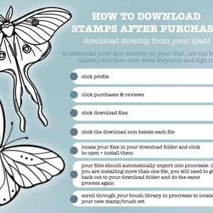 Procreate 60 Butterfly & Moth Set 40 Butterflies 20 Moths Digital ...