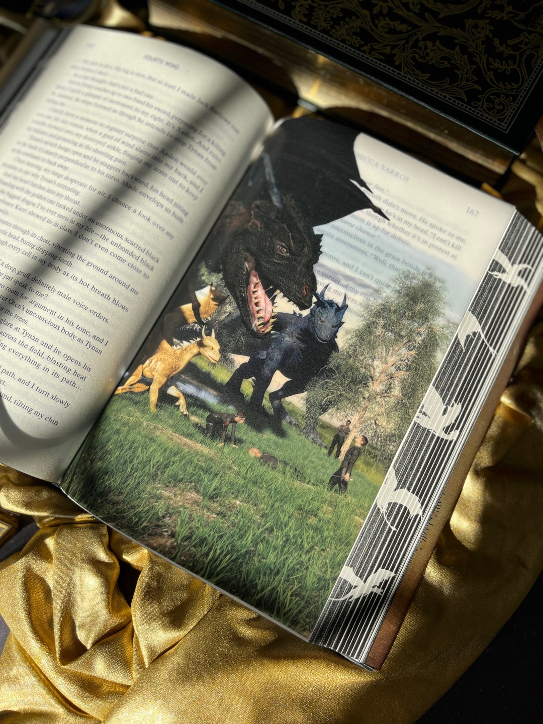 Fourth Wing Page Overlays Set - Etsy UK