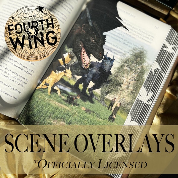 Fourth Wing Art - Etsy