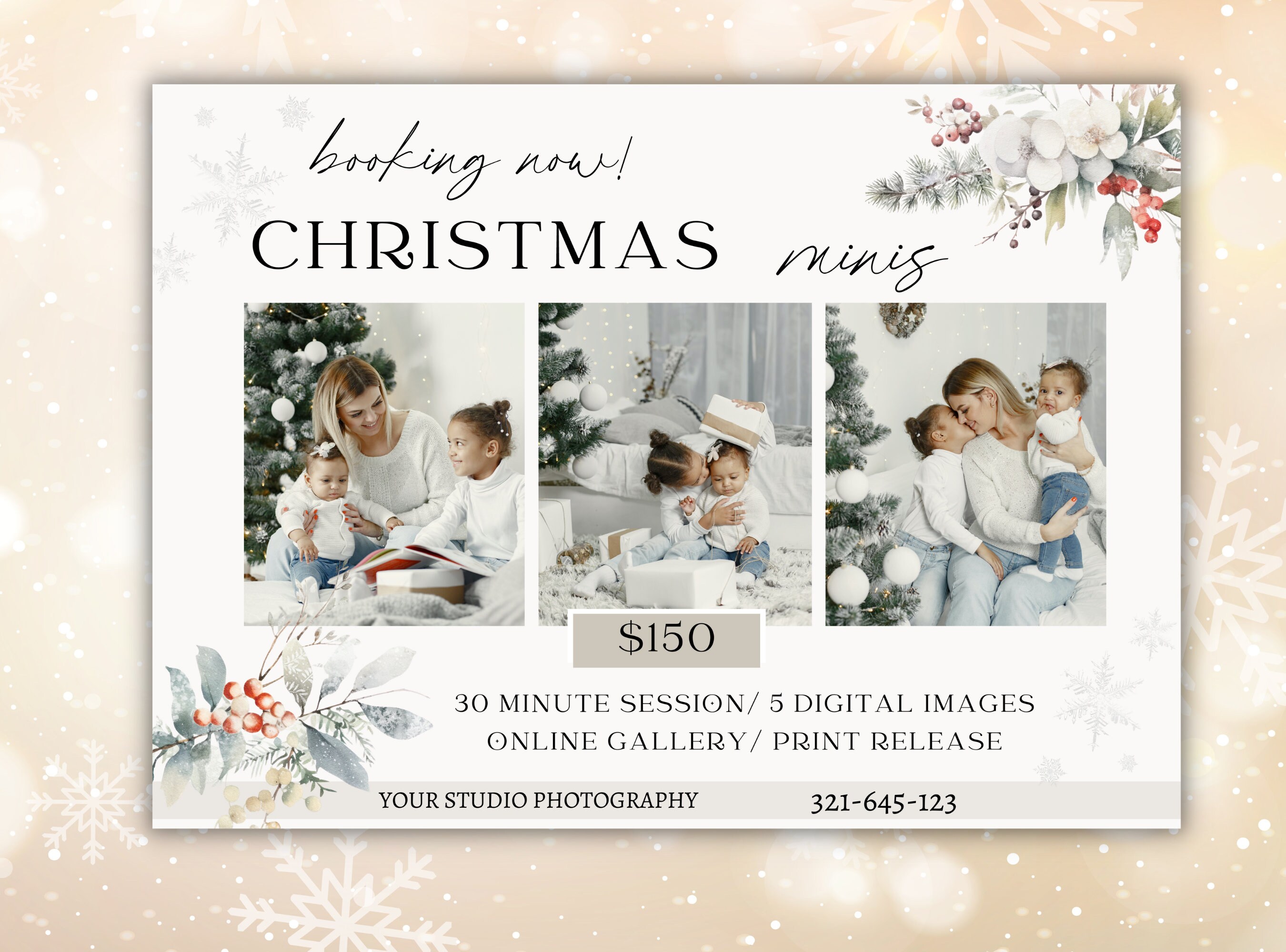Christmas Mini Session Template, Canva Marketing Board, Xmas Minis ...