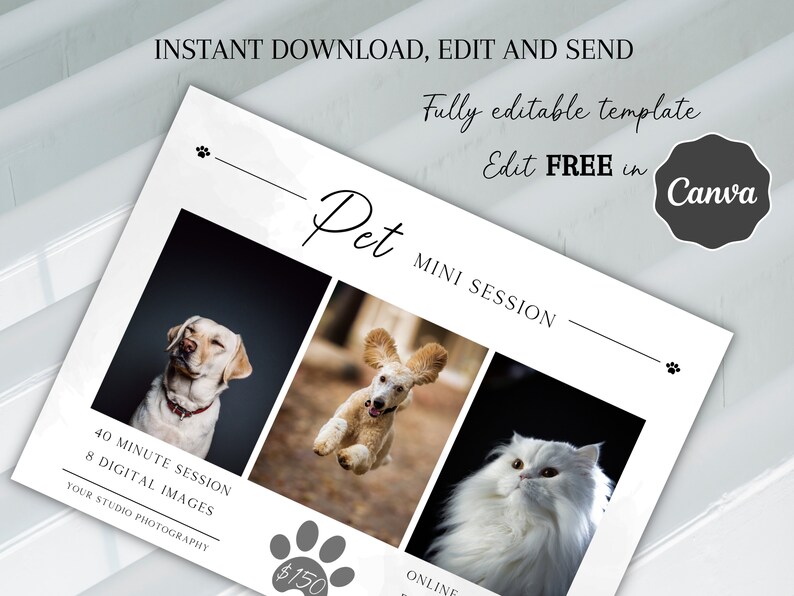 Pet Mini Session Canva Template for Photographers Pet Photo - Etsy