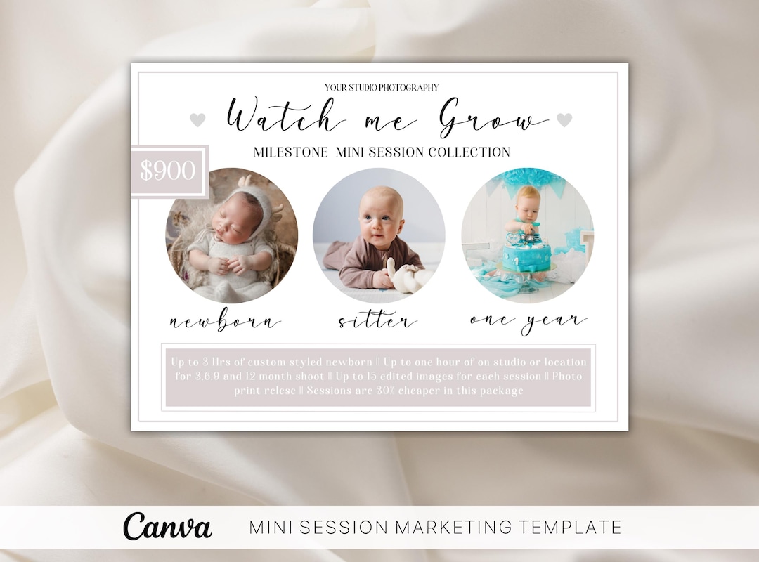 Baby Milestone Session Flyer: Photographer Mini Session Template (canva ...