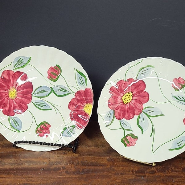 Blue Ridge Plates - Etsy