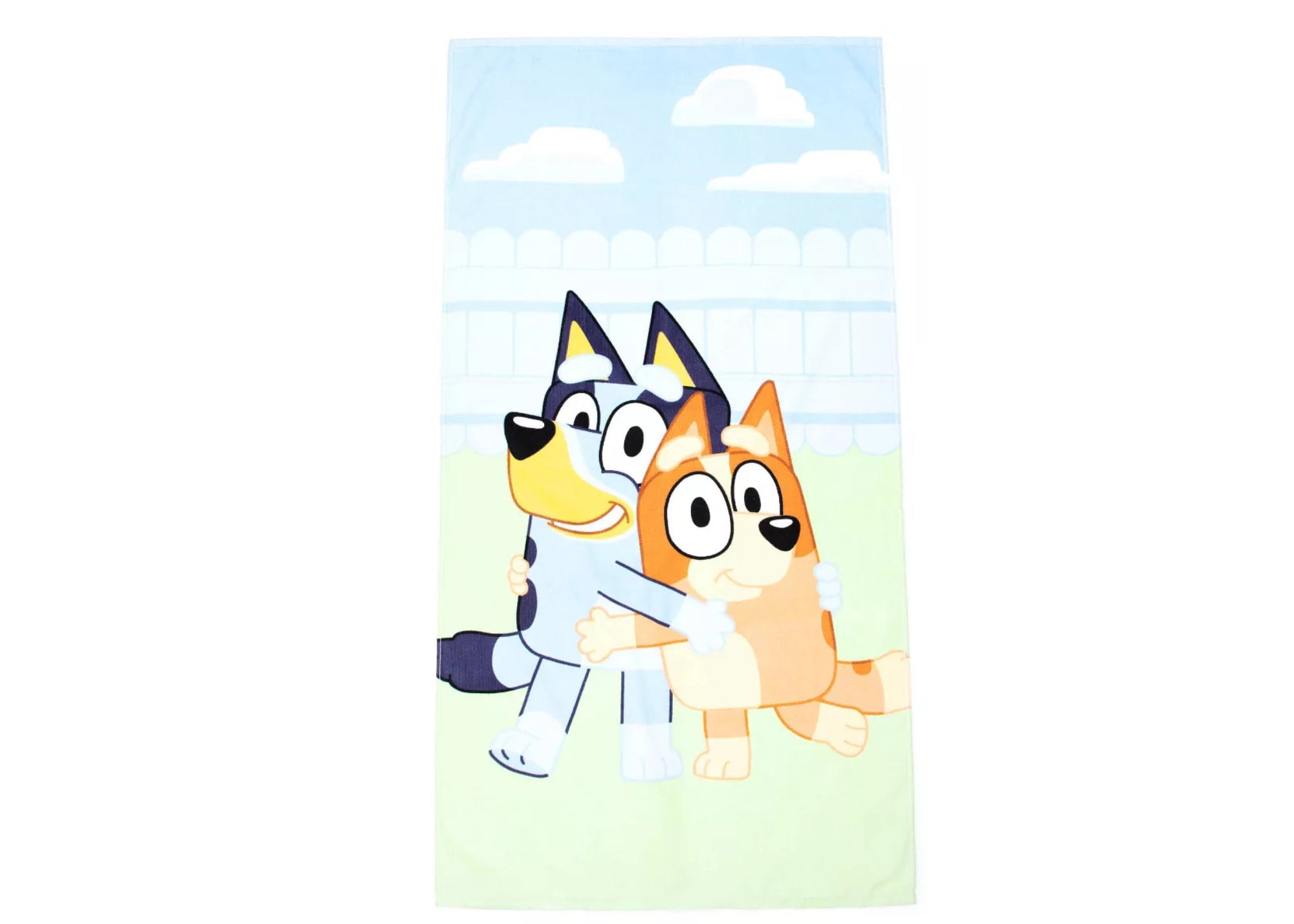 Custom Towel - Bluey and Bingo - Personalized Embroidered Beach Towel ...